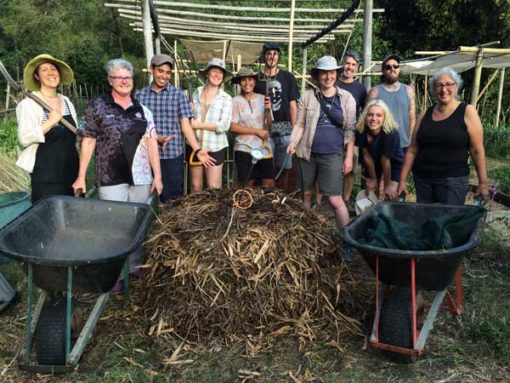 Djanbung Gardens – Permaculture College Australia