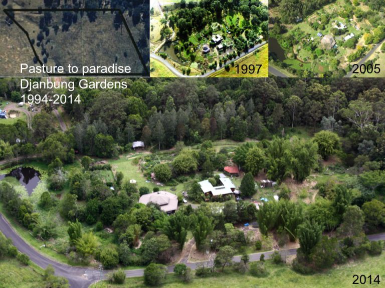 Djanbung Gardens – Permaculture College Australia