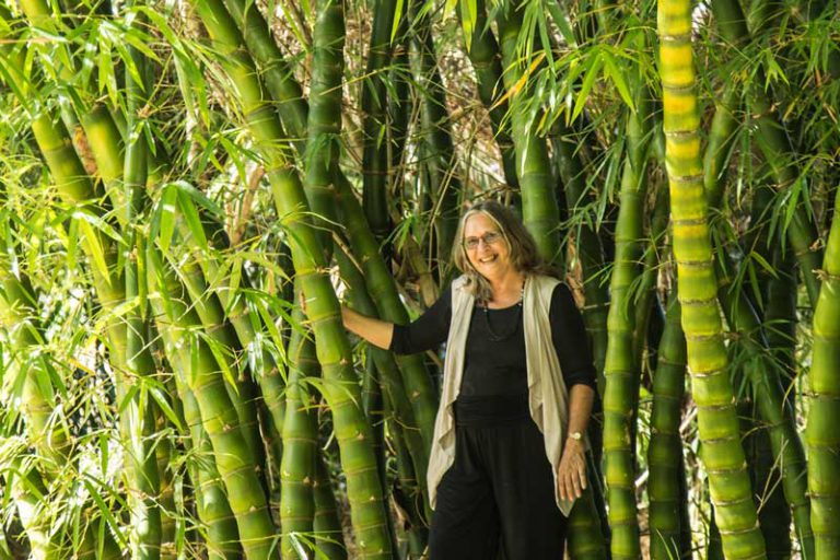Djanbung Gardens – Permaculture College Australia