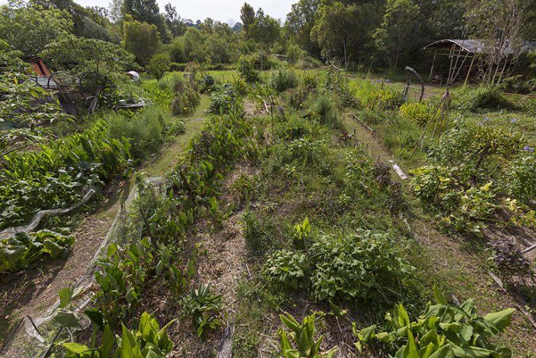 Djanbung Gardens – Permaculture College Australia