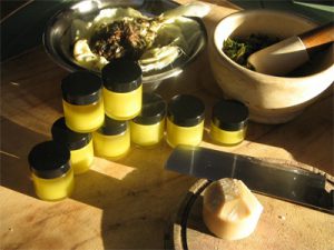 Infused herbal oils and ointments – Permaculture College Australia